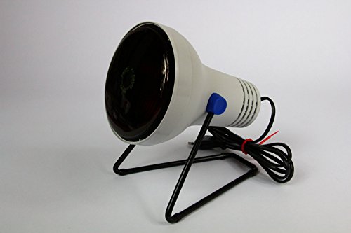 Rotlichtlampe Test 2020 Top Produkte im Vergleich